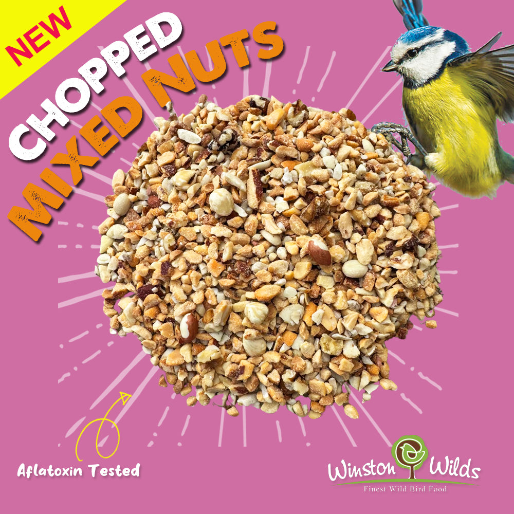 25kg Mixed Chopped Nuts – Winston Wilds
