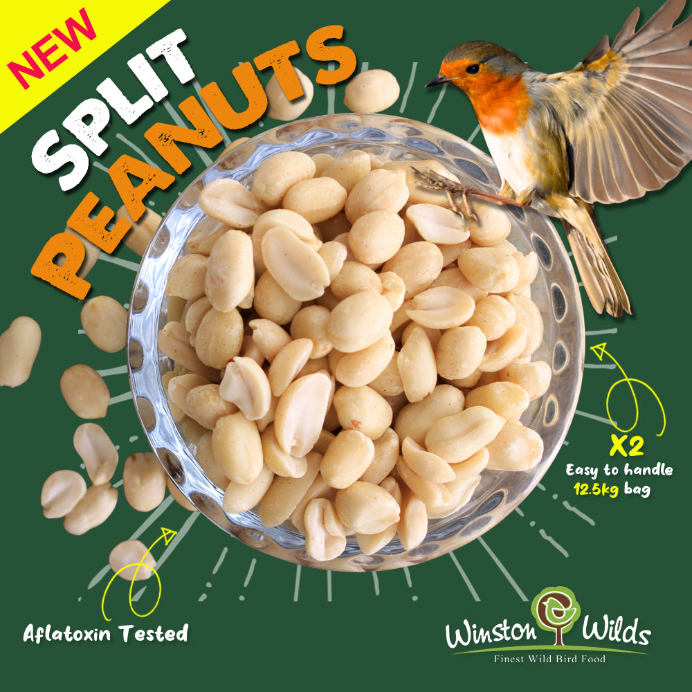 Blanched Peanut Splits – Winston Wilds