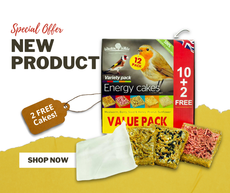 NEW product launch! – Winston Wilds