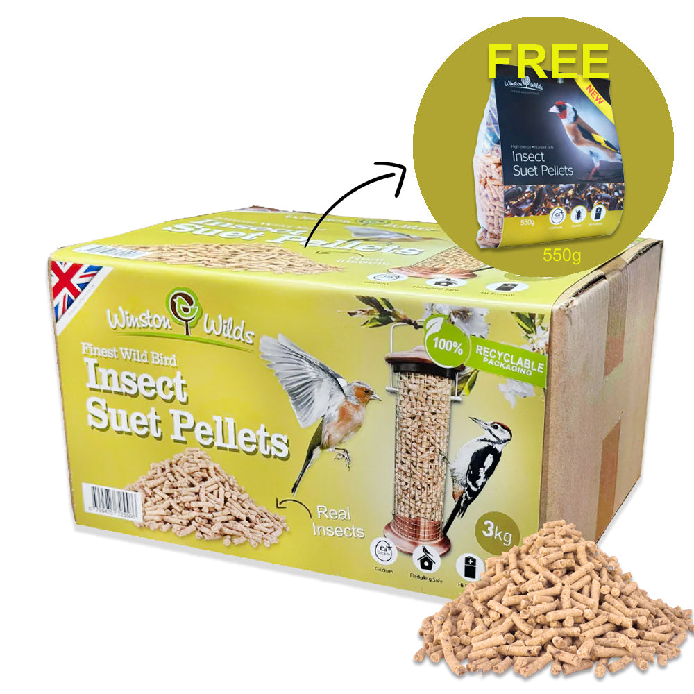3kg Insect Suet Pellets + 550g FREE – Winston Wilds