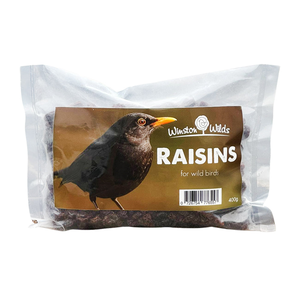 Raisins – Winston Wilds
