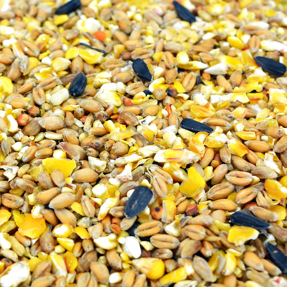 Budget Seed Mix – Winston Wilds