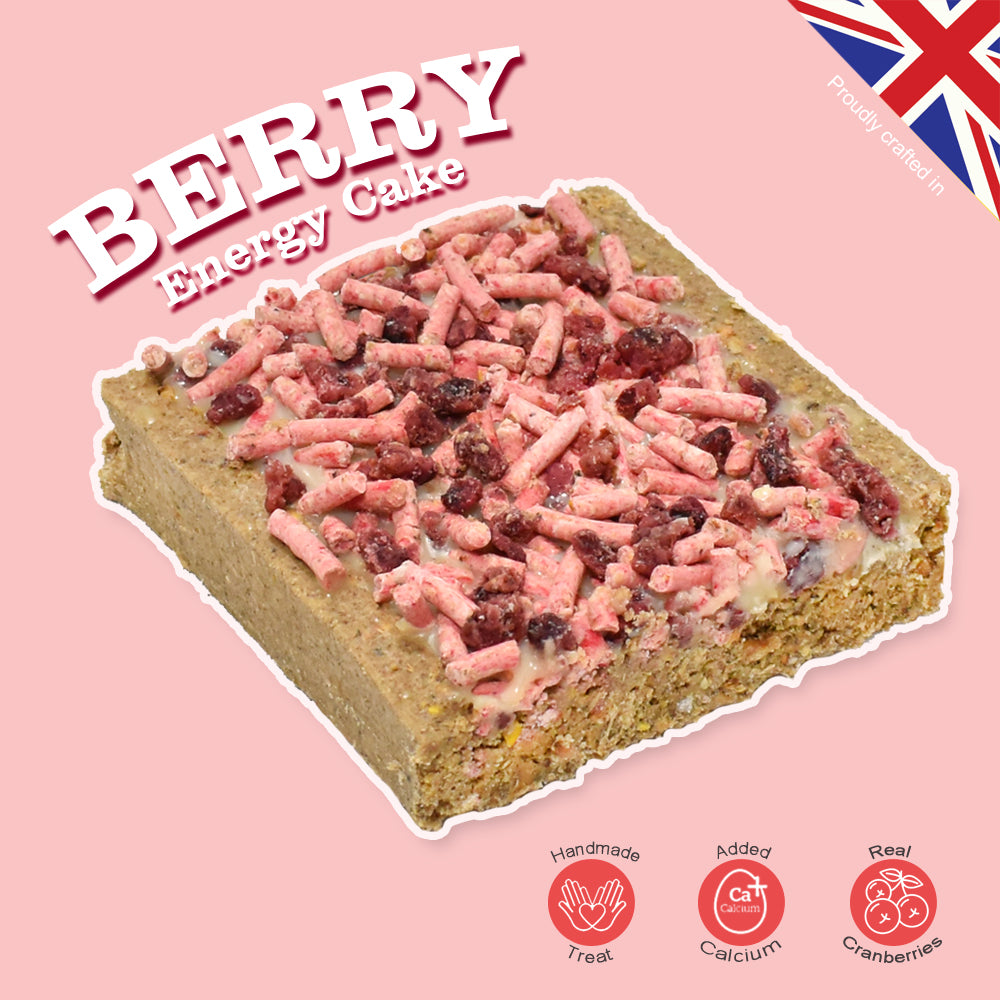 Energy Cakes – Winston Wilds