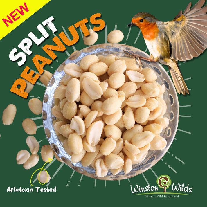 Blanched Peanut Splits – Winston Wilds