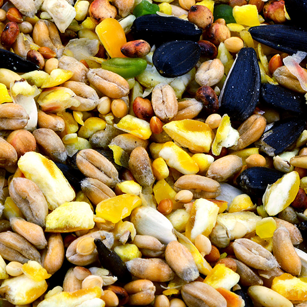 Classic Seed Mix – Winston Wilds