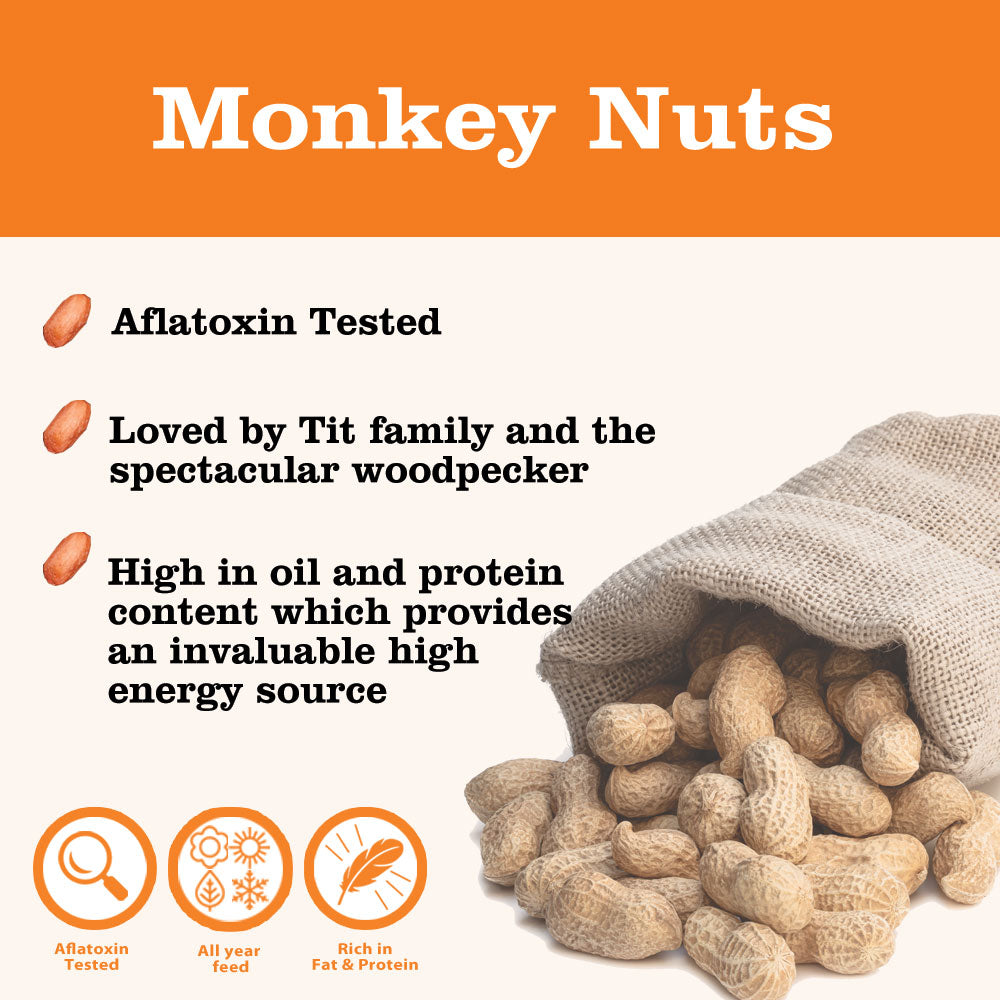 Monkey Nuts – Winston Wilds